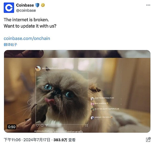 另一只貓貓主題MEME走紅 Base生態代幣MIGGLES最高超900倍 - Coincaso