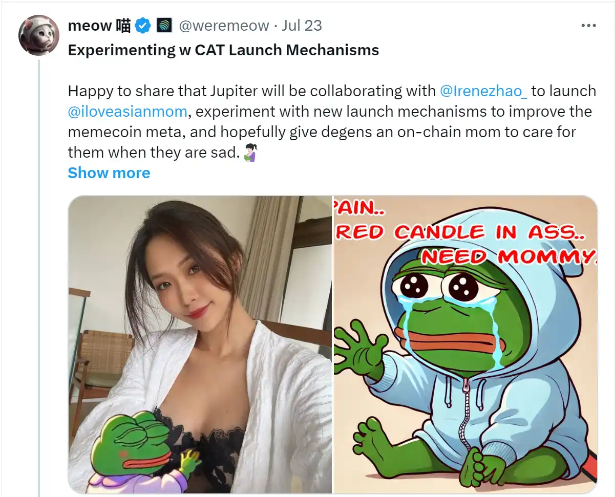 為何頻頻參與Rug項目？Irene Zhao現身社區回應質疑 - Coincaso