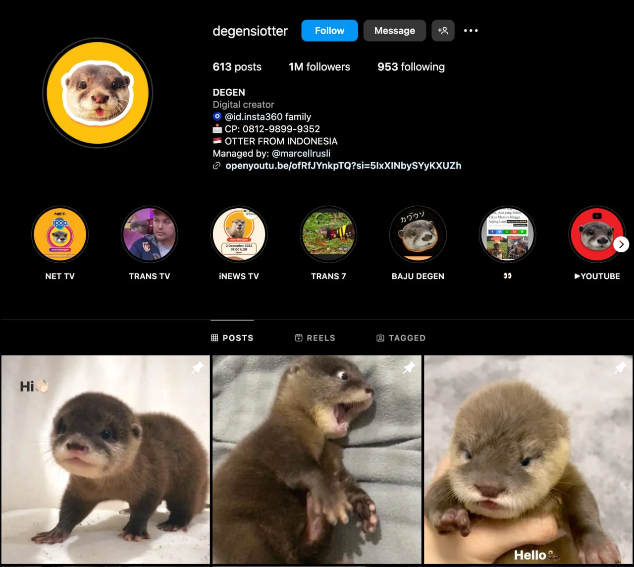 “河馬“單騎救Solana，時隔三年動物園行情又回來了？ - Coincaso